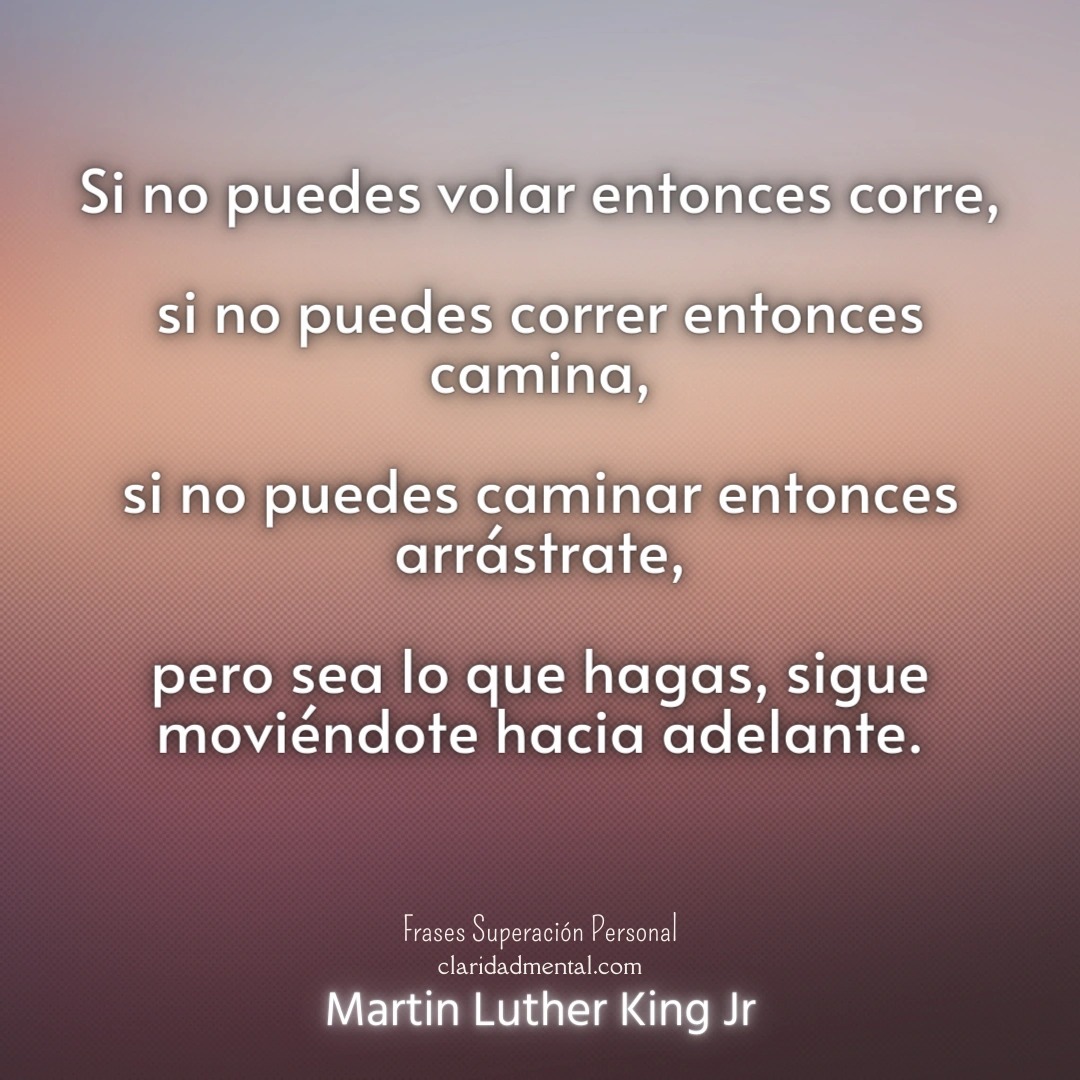 Martin Luther King Jr: Si no puedes volar entonces corre, si no puedes ...
